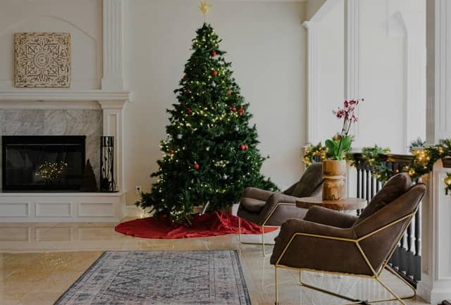 10 Jenis Pohon yang Bisa Jadi Pohon Natal, Mana yang Paling Estetik ...