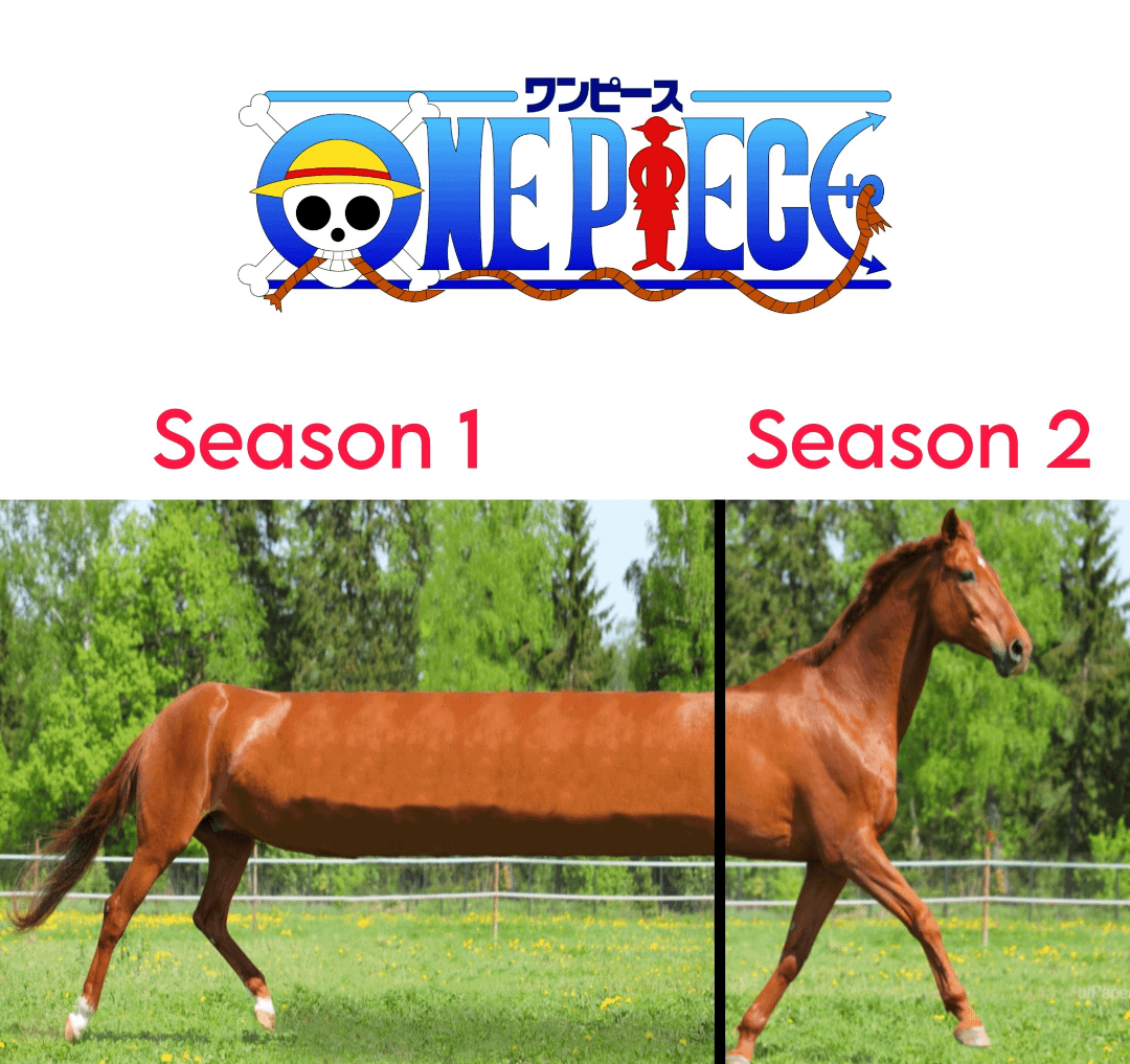7 Meme One Piece Lanjut Season 2, Nunggu Sampai April 2026 | IDN Times