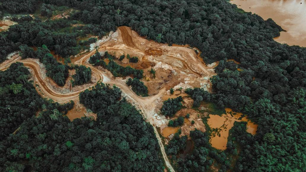 Auriga: Deforestasi Hutan 2025 Naik 66 Persen, Terjadi di Semua Pulau ...