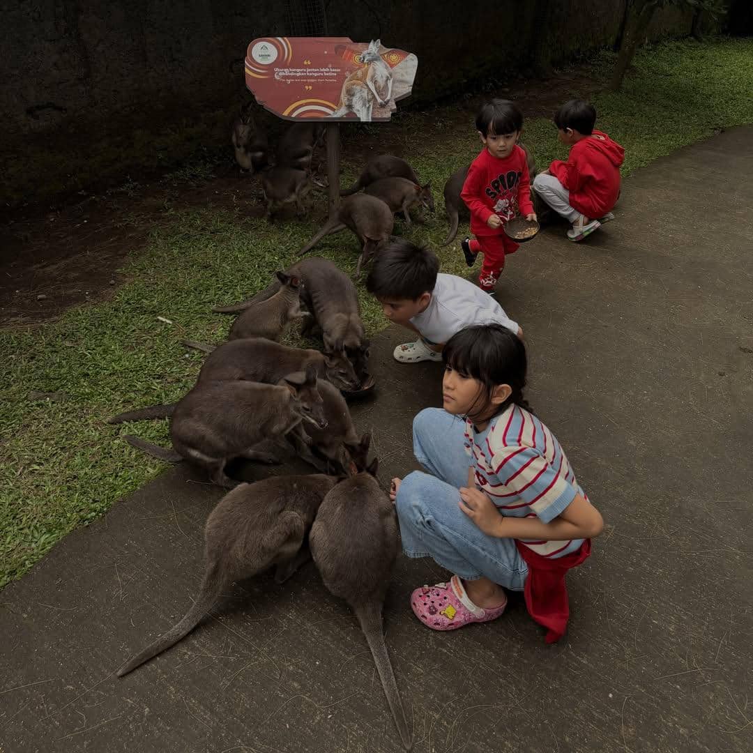 9 Potret Keluarga Citra Kirana dan Ryana Dea Playdate di Taman Safari ...