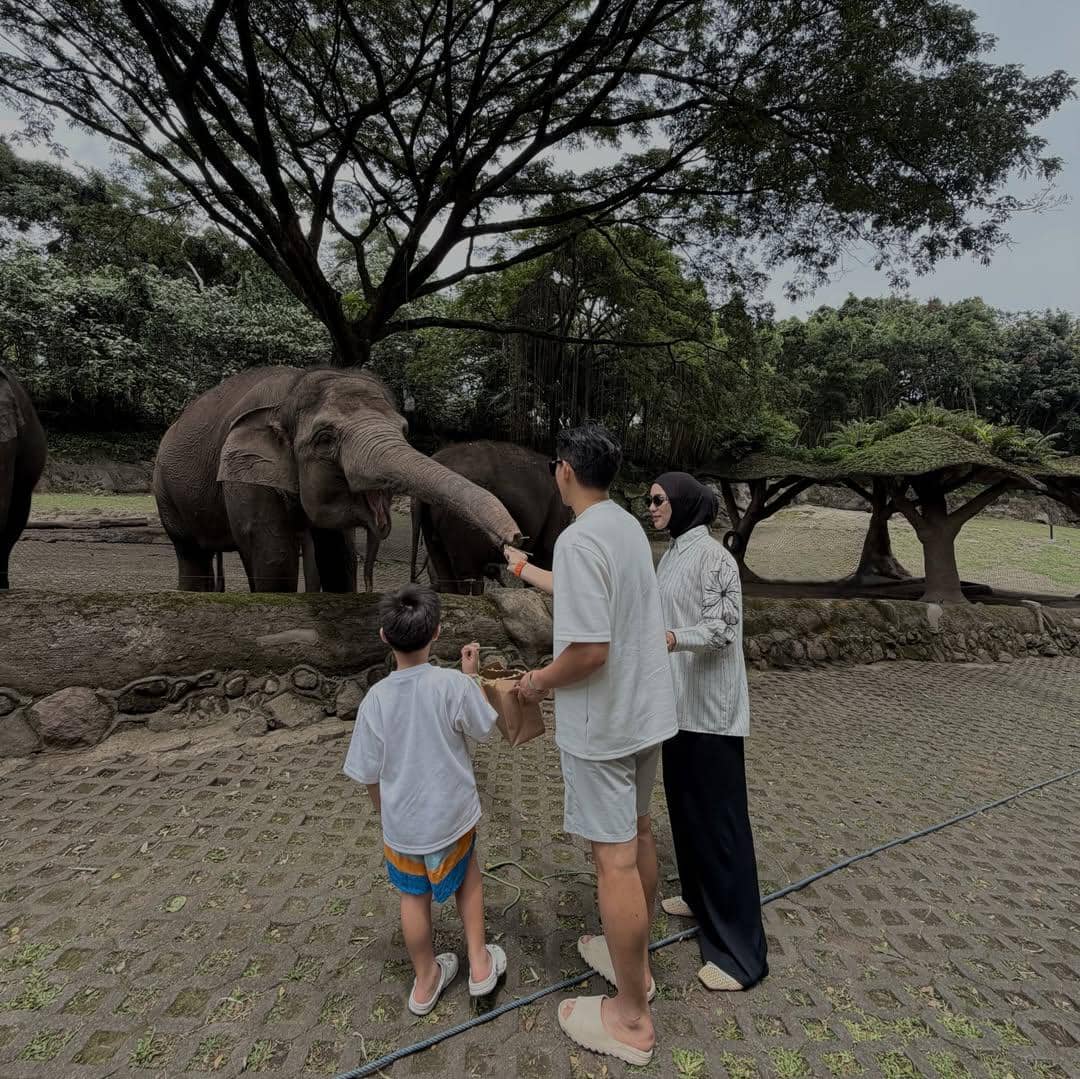 9 Potret Keluarga Citra Kirana dan Ryana Dea Playdate di Taman Safari ...