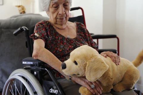 Robot Keren di CES 2026, Ada Robot Anjing! | Cuidatusalud