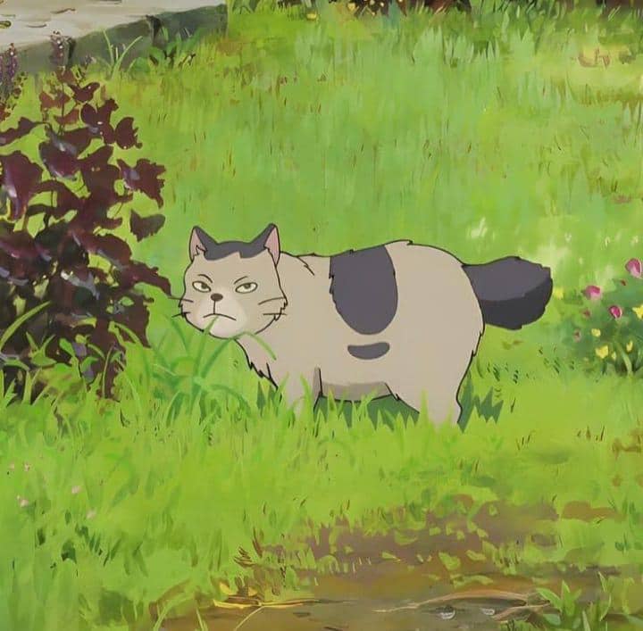 10 Karakter Kucing Ikonik dan Menggemaskan di Film Ghibli | IDN Times