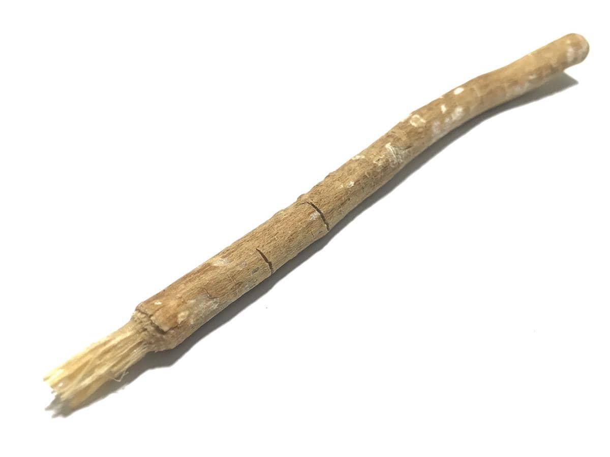 5 Fakta Unik Siwak, Tanaman Tradisional yang Jadi Sikat Gigi Alami ...