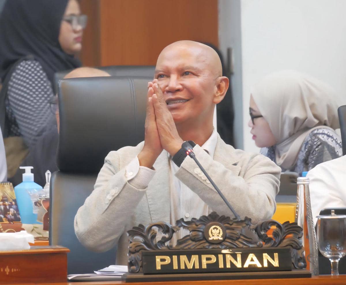 DPR Minta Bos Agrinas Batalkan Impor 105 Ribu Mobil India | IDN Times