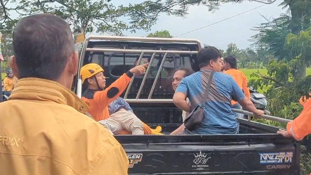 Lagi, Pohon Tumbang di Magetan Makan Korban Jiwa, Anak 10 Tahun Tewas ...