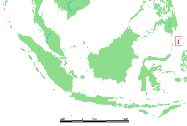 Fakta Talaud Rail, Burung Endemik Indonesia Langka | IDN Times
