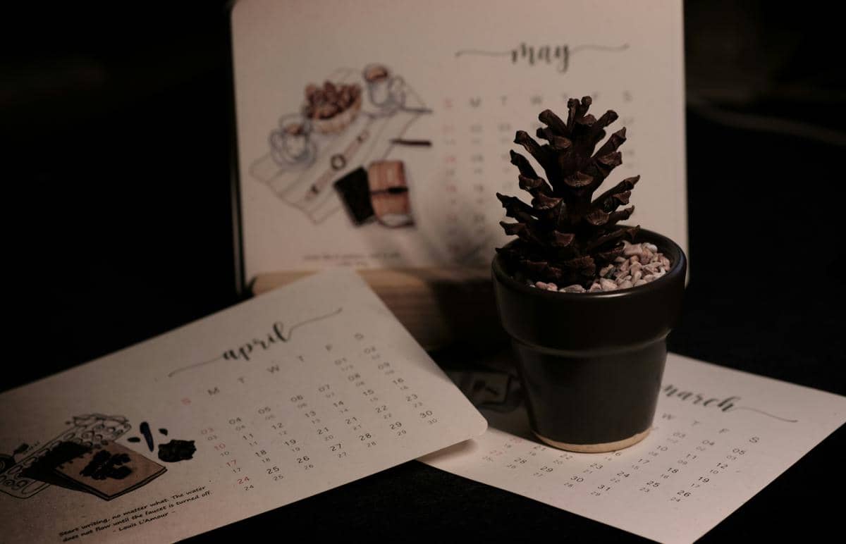 5 Tanaman Hias Bunga Merah dengan Makna Keberanian dan Gairah Hidup ...