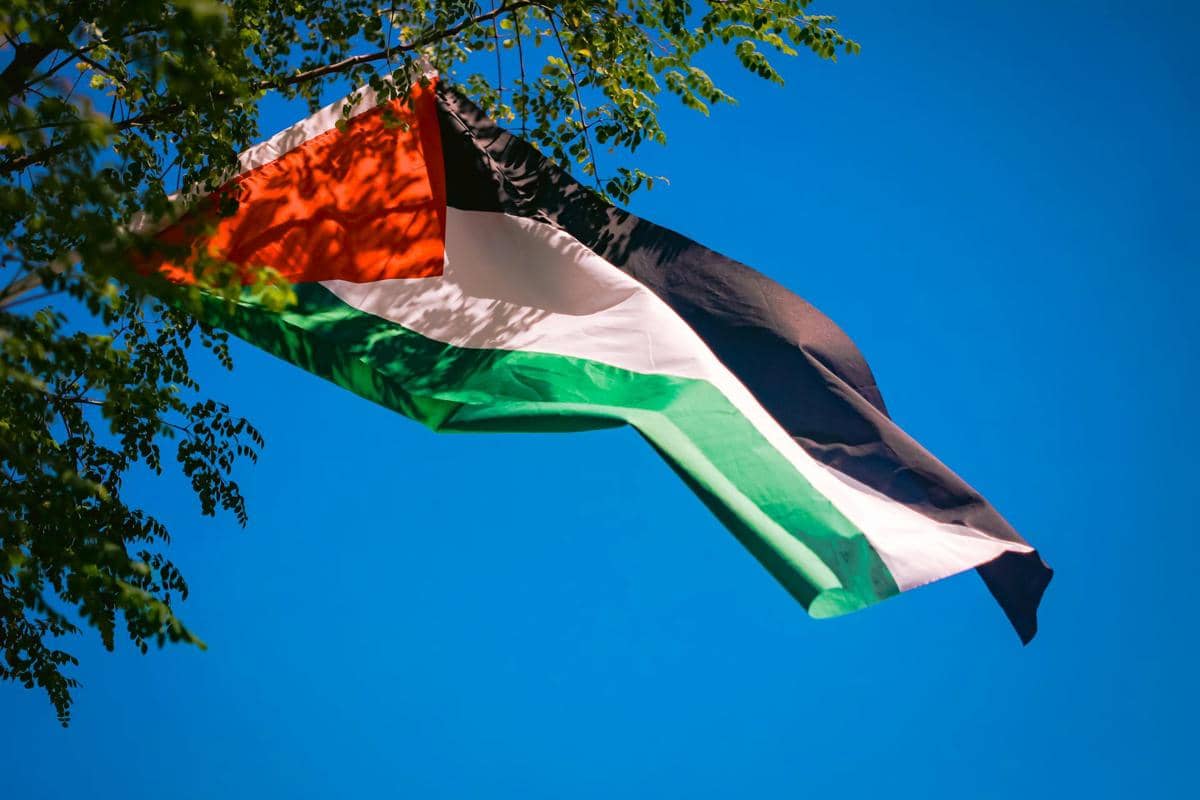 Prabowo Terima Surat Kepercayaan 8 Dubes, Termasuk dari Palestina | IDN ...