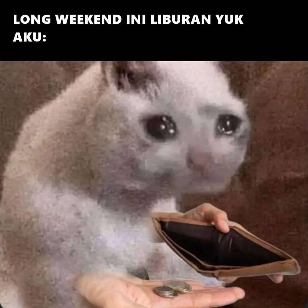 Meme Kucing Long Weekend Idul Adha 2026 | IDN Times