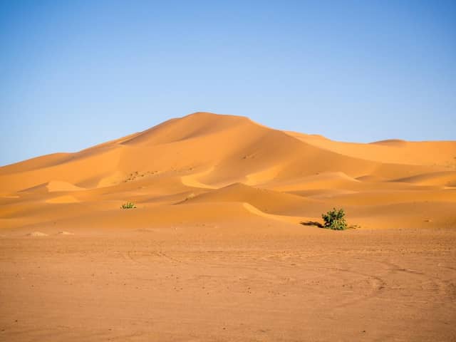 Truk Mogok di Gurun Sahara, 49 Warga Niger Tewas Dehidrasi | IDN Times
